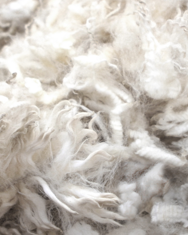 Wool is 100% Biodegradable • Curtain Clean - North Island